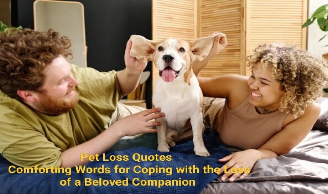 Pet Loss Quotes Comforting Words for Coping with the Loss of a Beloved ...